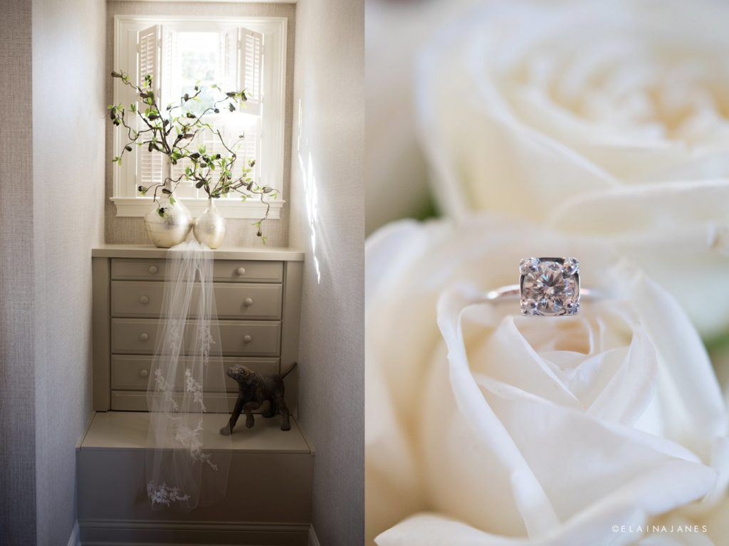 Lynn + Stuart | 10.29.16 - Elaina Janes Photography