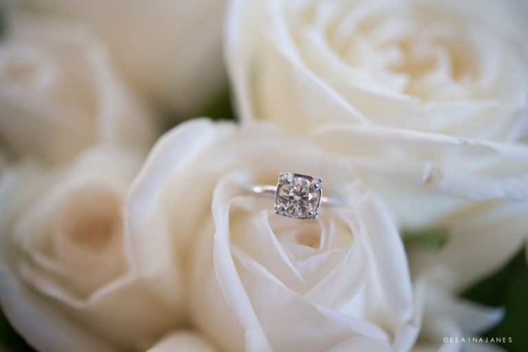 Lynn + Stuart | 10.29.16 - Elaina Janes Photography