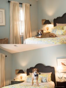 Lynn + Stuart | 10.29.16 - Elaina Janes Photography