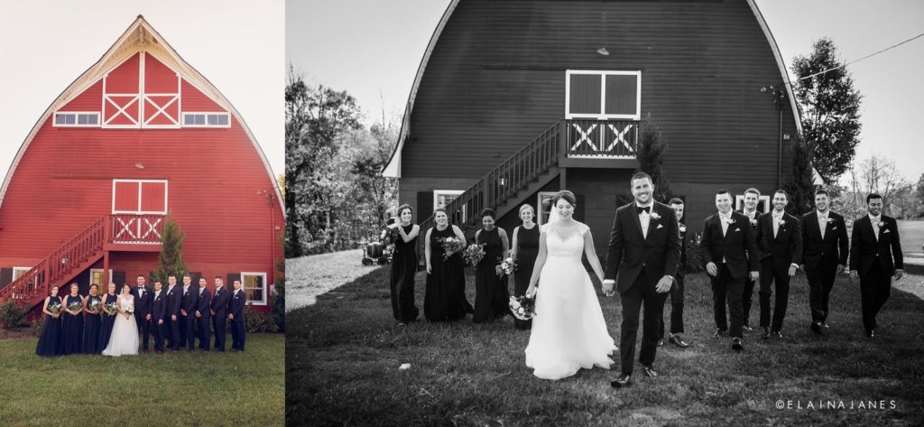 Lynn + Stuart | 10.29.16 - Elaina Janes Photography