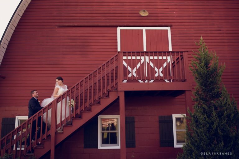 Lynn + Stuart | 10.29.16 - Elaina Janes Photography